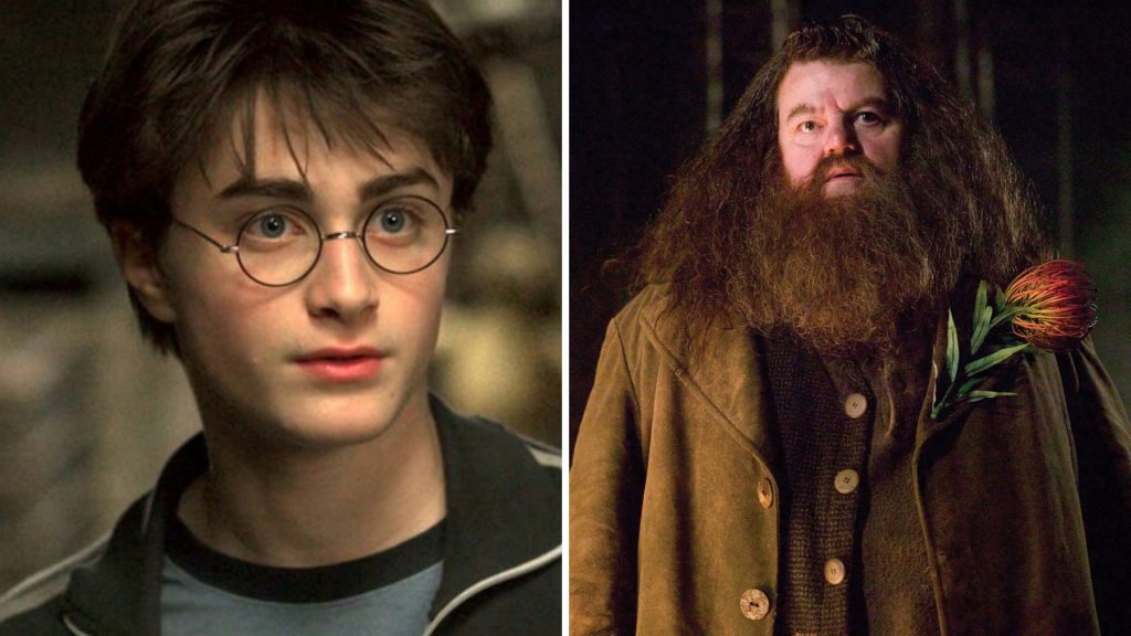 Daniel Radcliffe leads Harry Potter cast tributes to Hagrid star Robbie ...